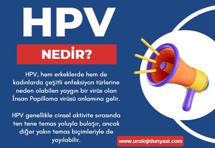 HPV (Genital Siğil) Virüsü Nedir? | HPV Aşısı Fiyatı 2025