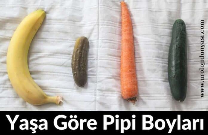 Erkeklerin cinsel organının boyu nasıl anlasilir?